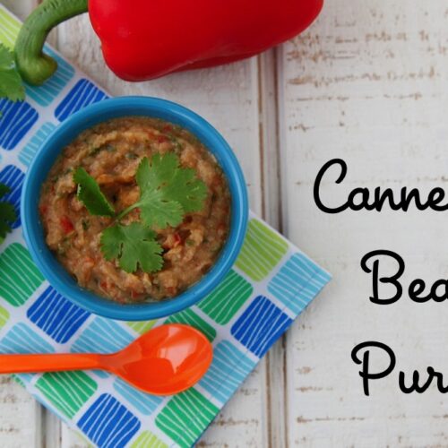 Healthy Purees and Homemade Baby Food - Weelicious